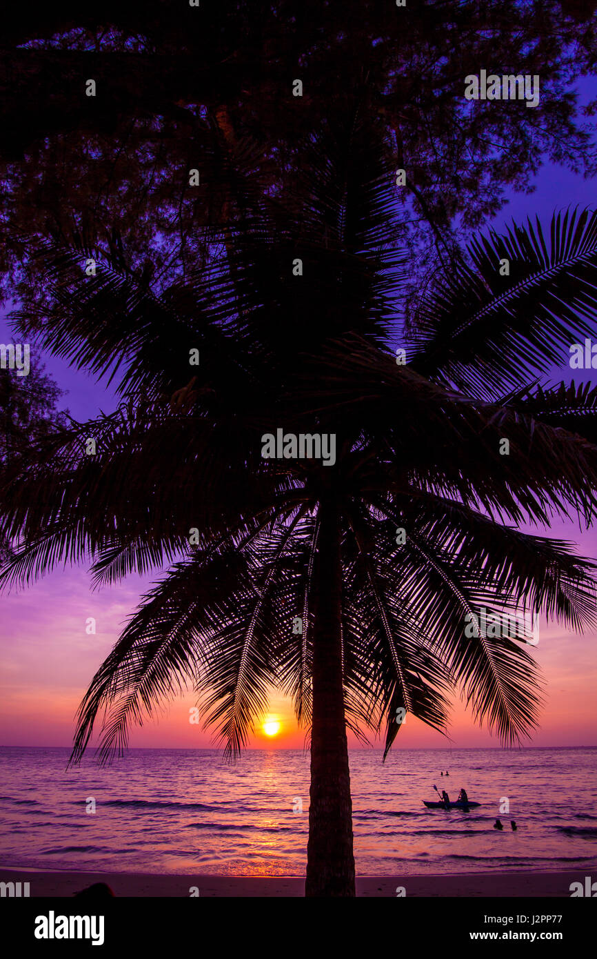 Palm trees silhouette at sunset Stock Photo - Alamy