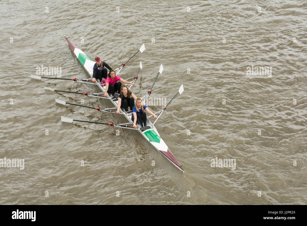 A coxless four on the River Thames in SW London, England, UK Stock ...