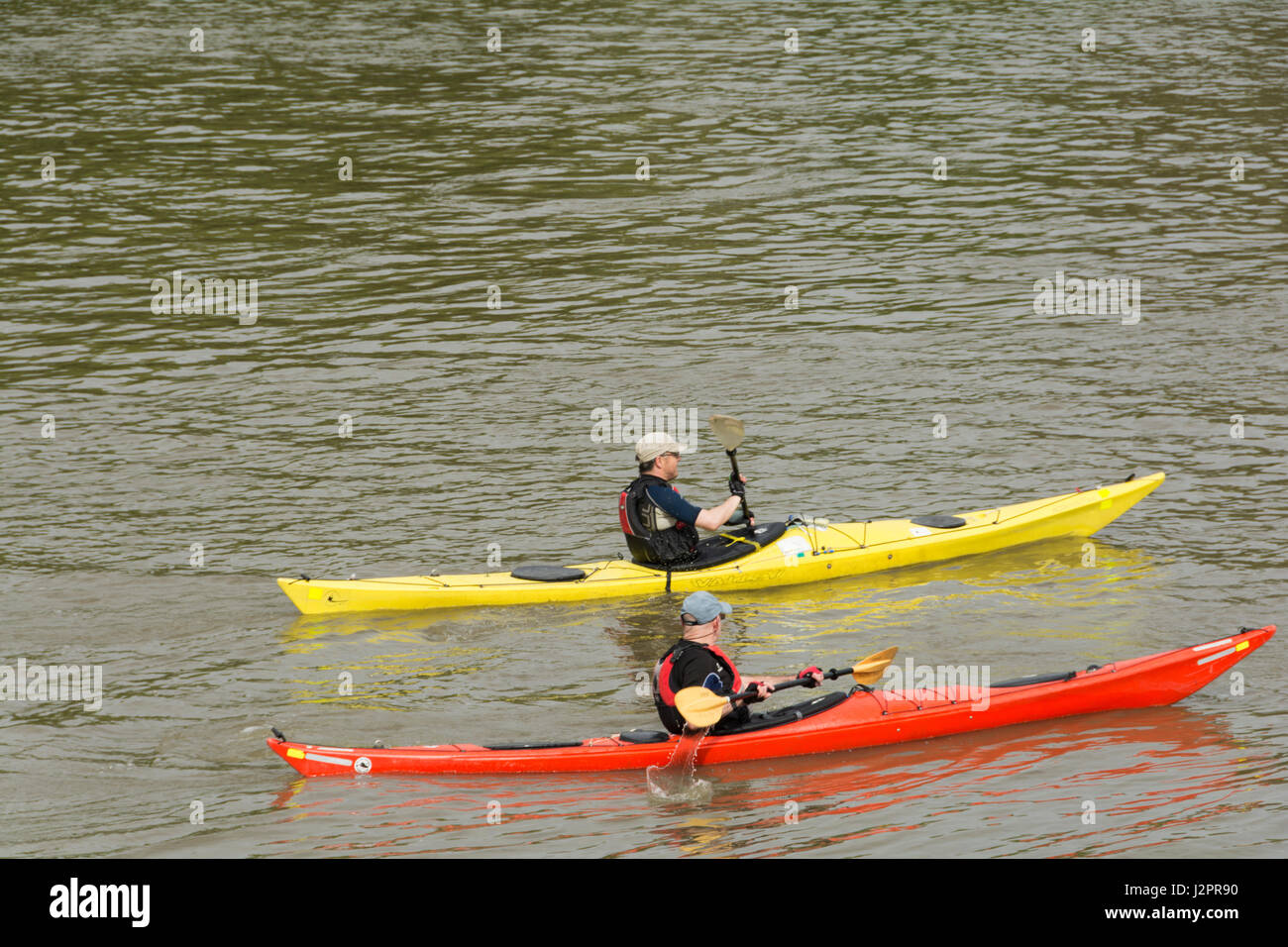 Kayaks on the River Thames in Barnes, SW London, England, UK Stock ...