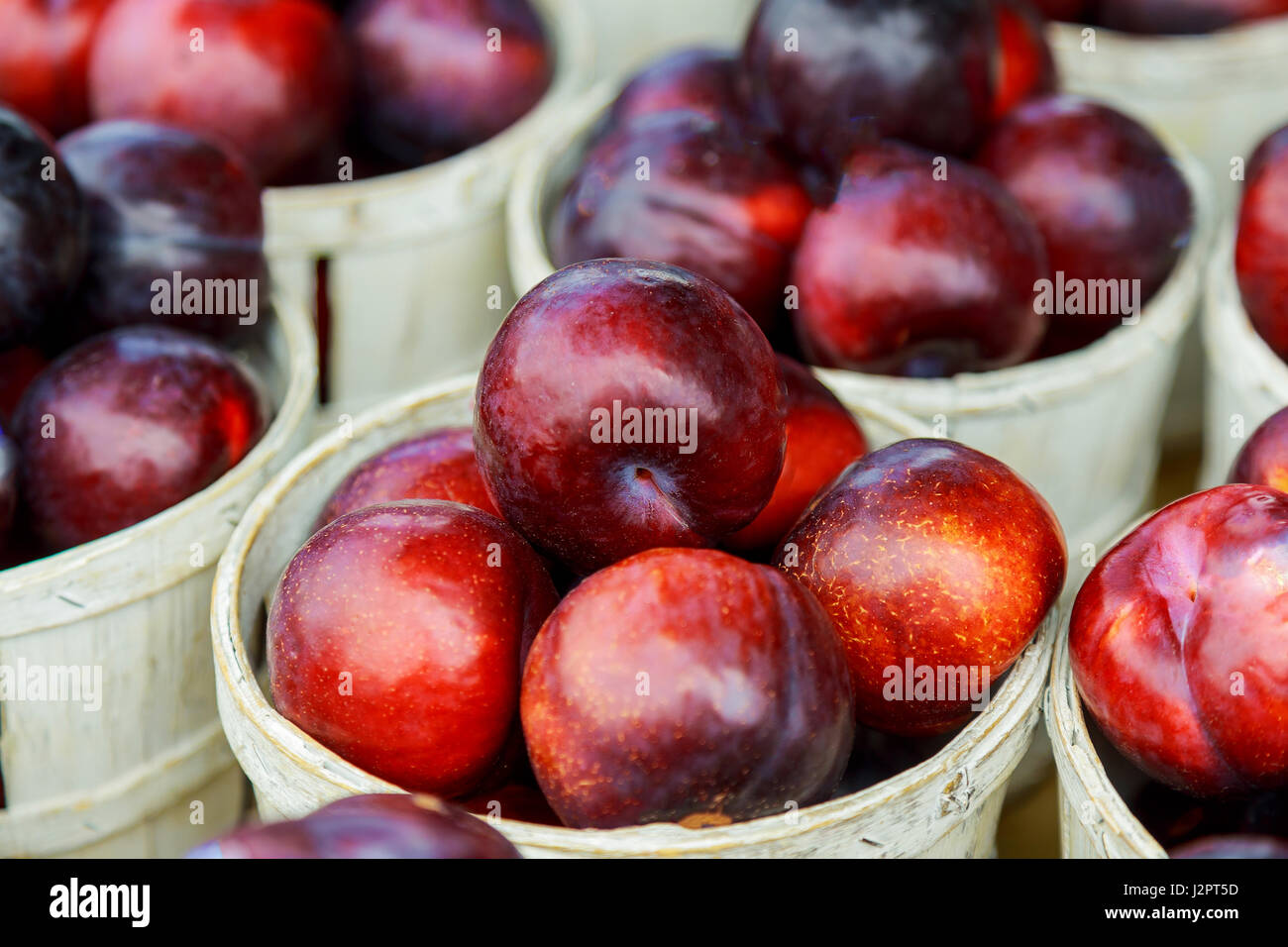 Thefruitoftheplumbackground hi-res stock photography and images - Alamy