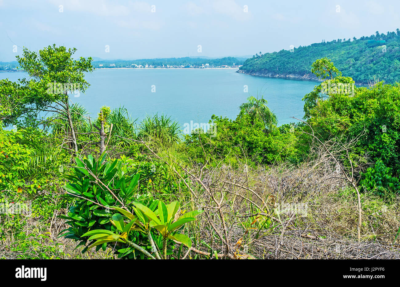 The view over the trees on the slope of Rumassala Mount, overlooking ...