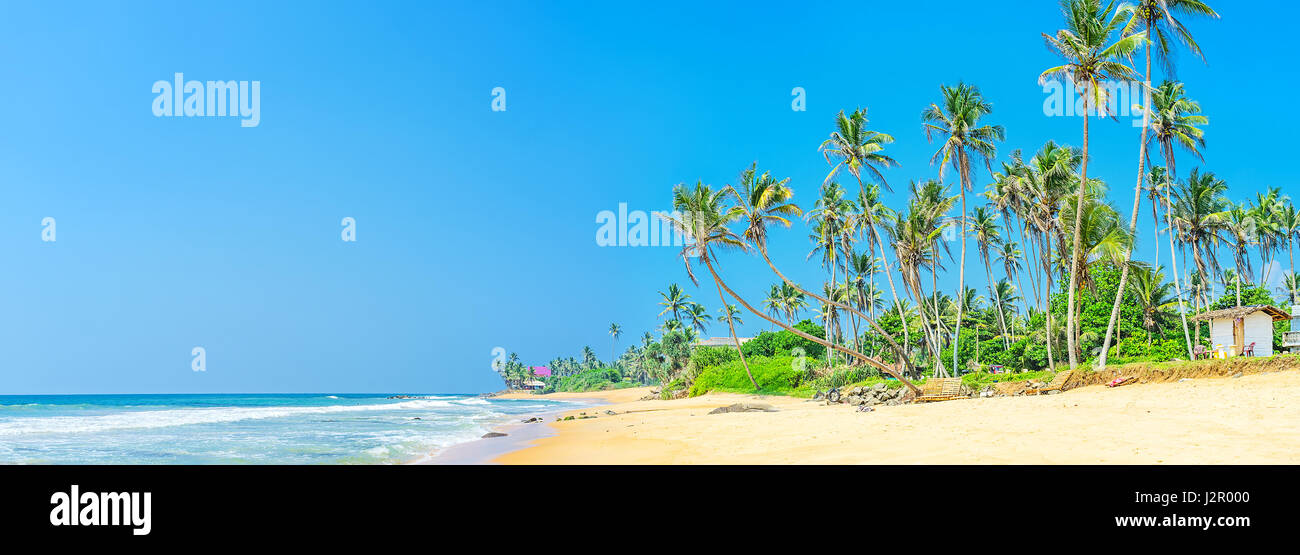 Panorama of the bounty beach with scenic palm trees, cozy sun beds and ...