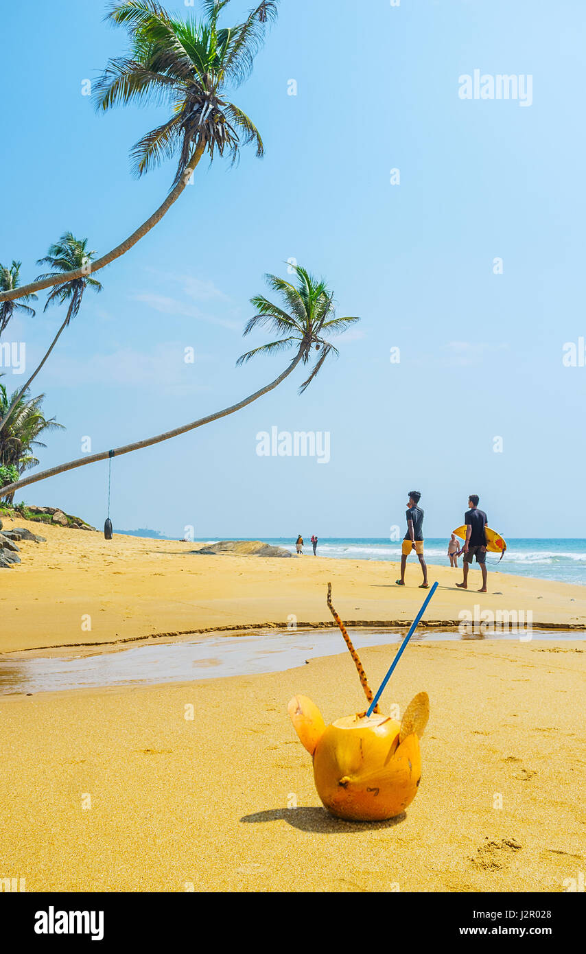 Harbor Reef Restaurant High Resolution Stock Photography and Images - Alamy