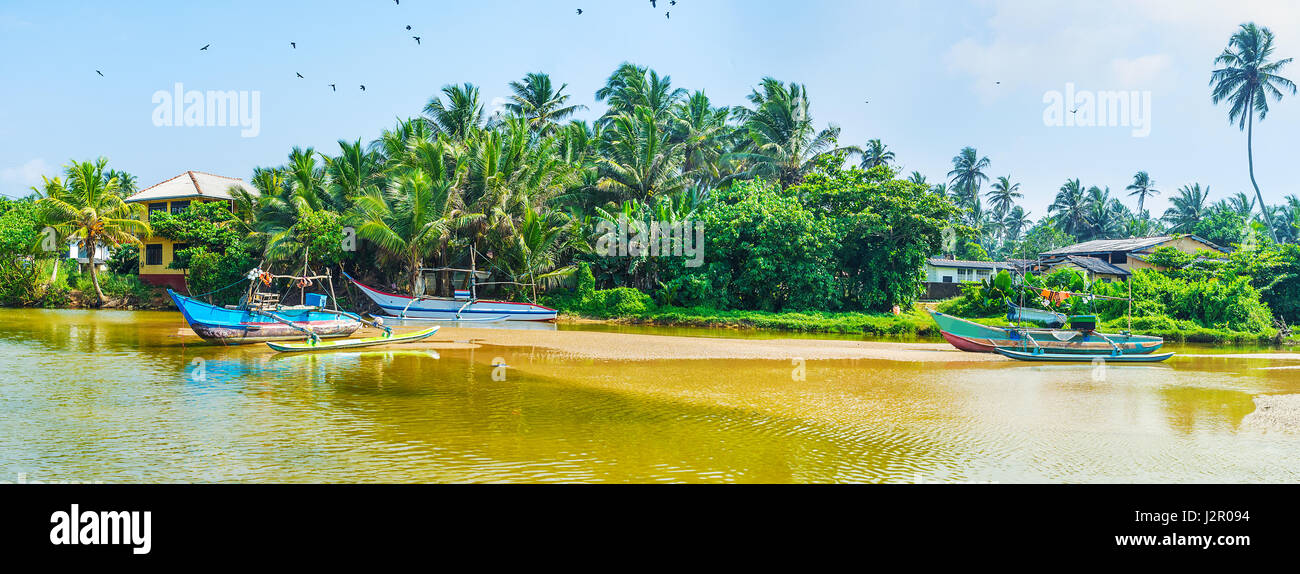 The oruwa boats moored at the bank of Ratgama Lake with the lush tropic ...