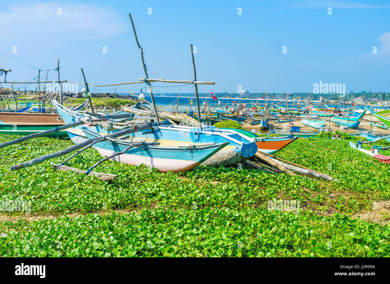 The oruwa canoes among the green meadow, covered with tropic sandy ...
