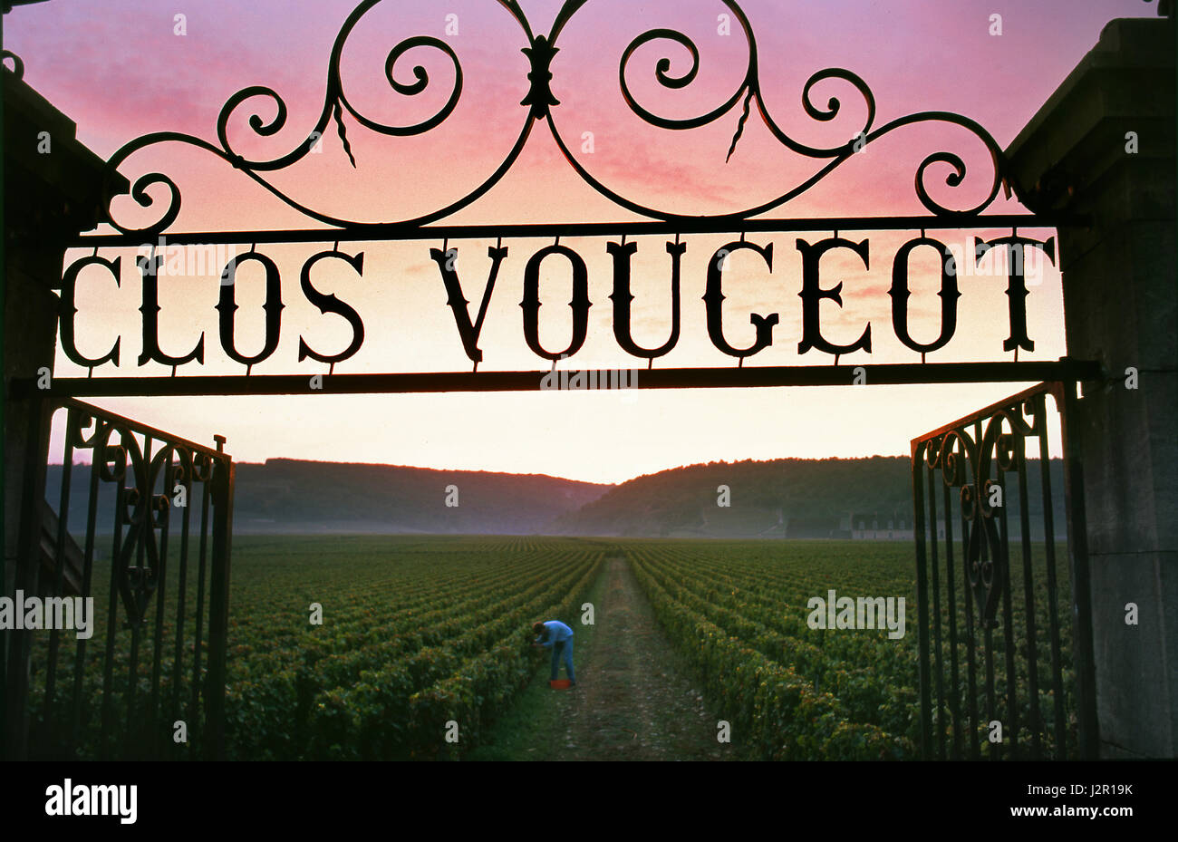 Sample gates hi-res stock photography and images - Alamy