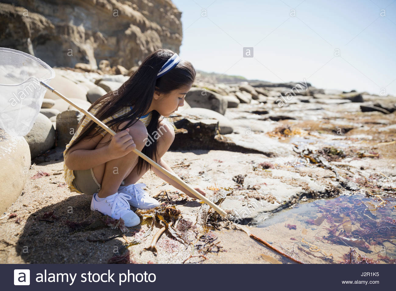 Tidal fishing net hi-res stock photography and images - Alamy