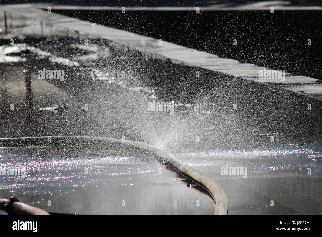 Thin streams of water from the hose in front of the sunlight in the ...