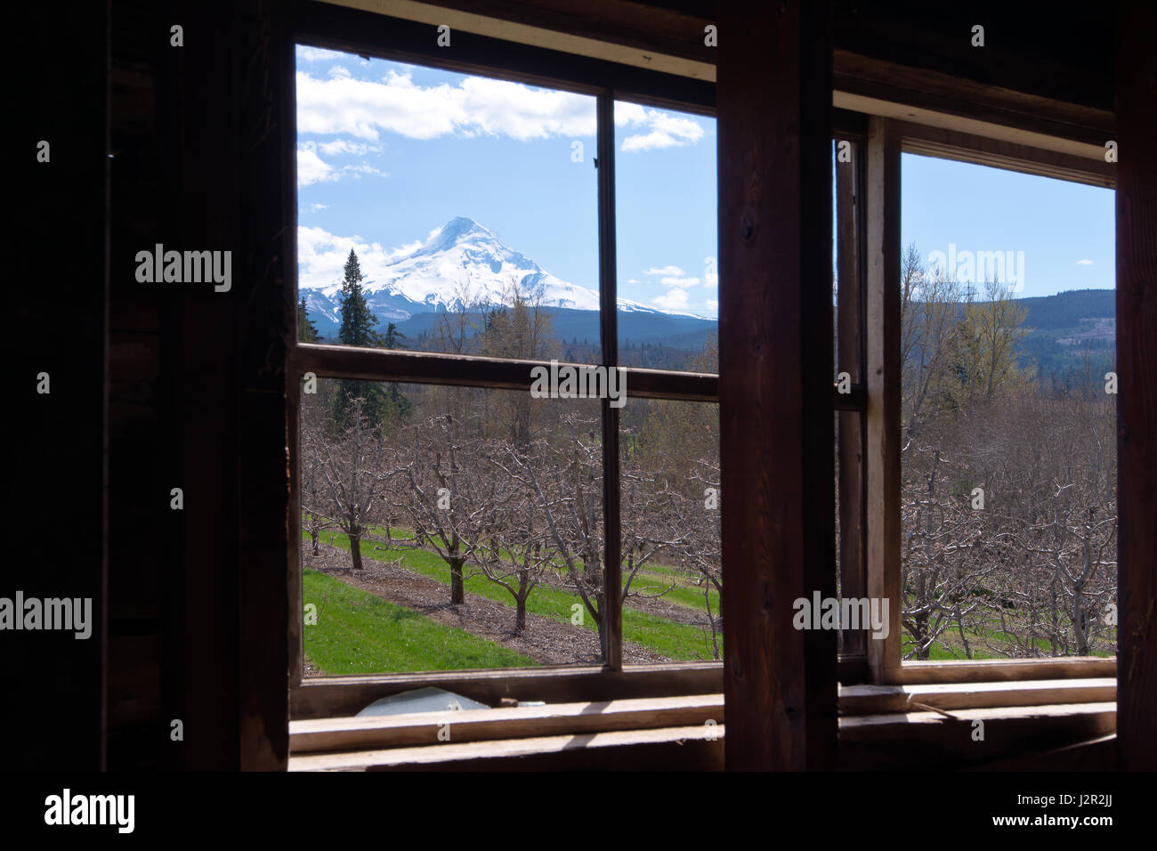 Impressively beautiful spring landscape with orchard and snowy mountain ...