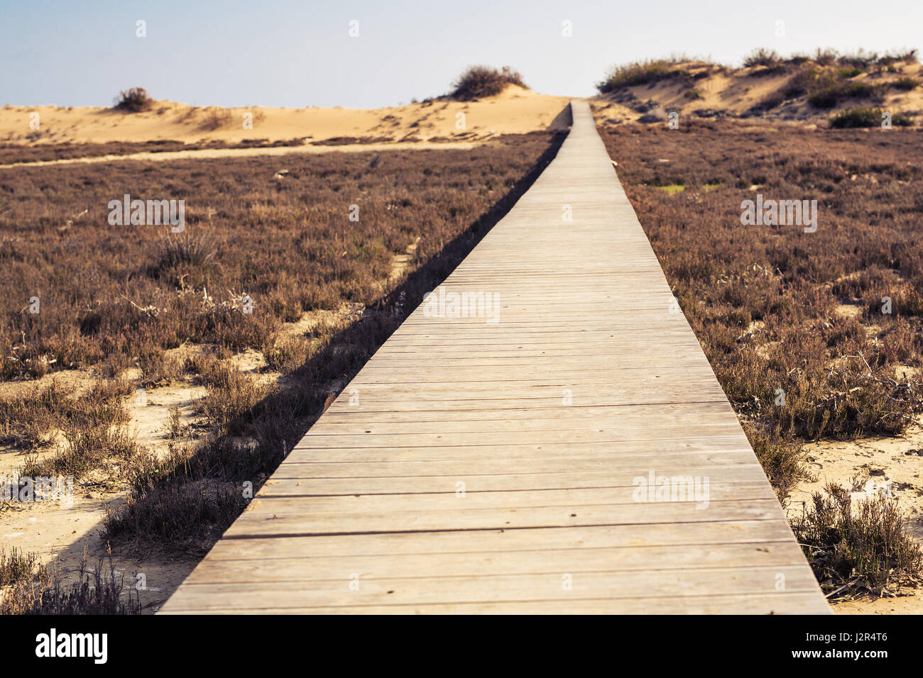 brown wooden beach boardwalk path Far away Stock Photo - Alamy