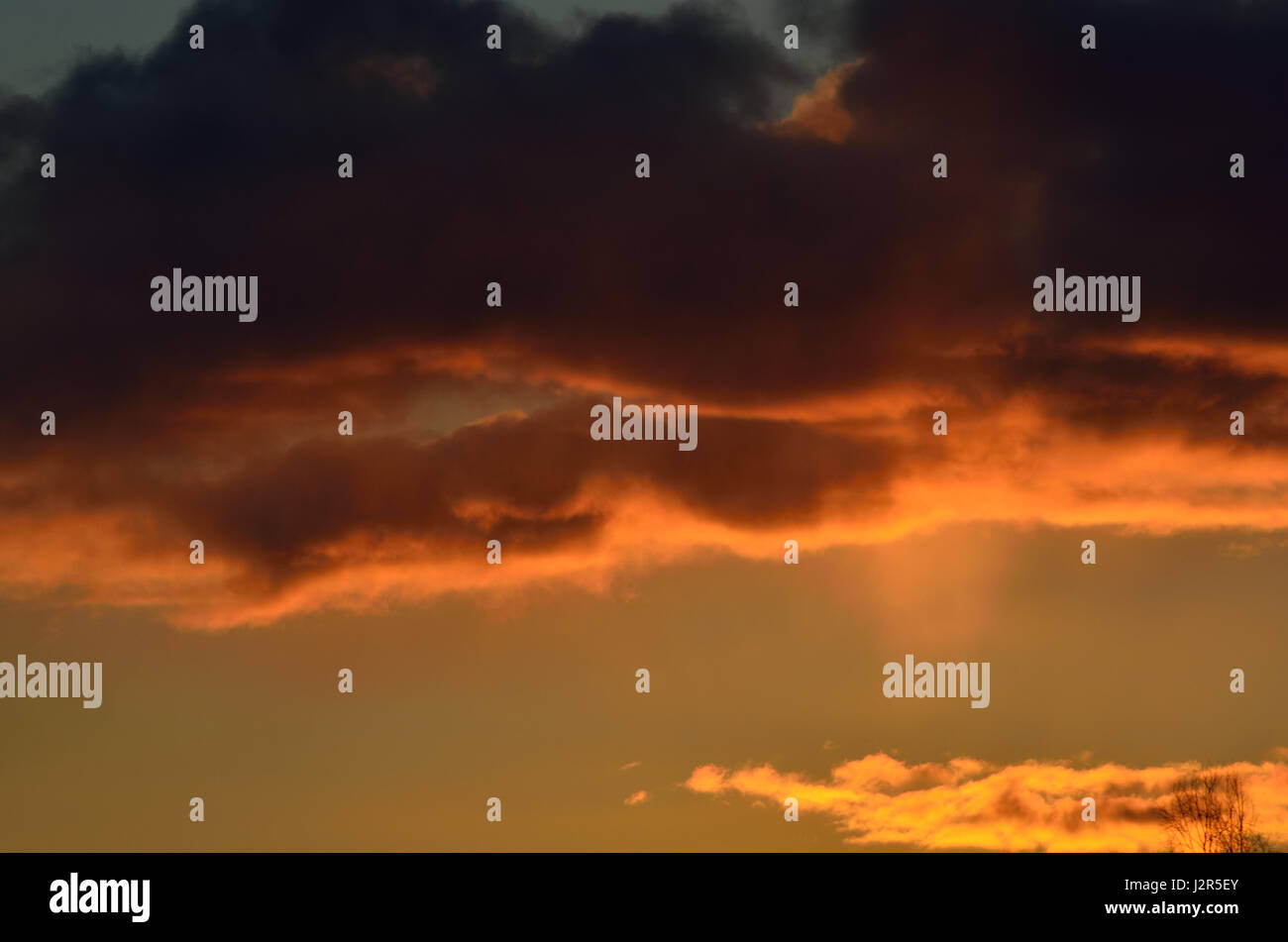 vibrant orange sunset over forest with single visible sunbeam Stock ...