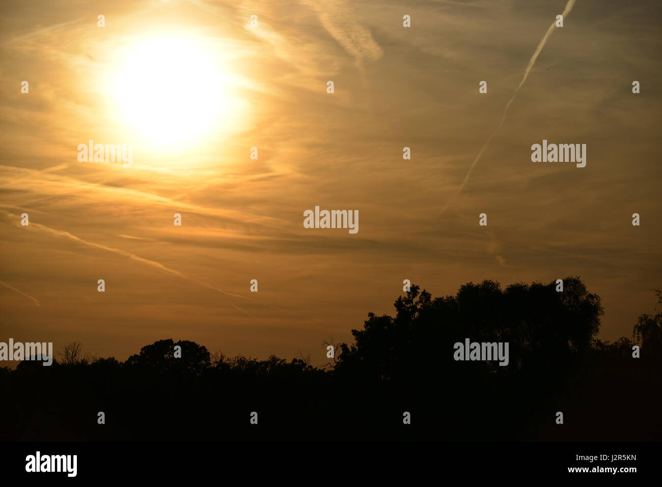 Enjoy dawn hi-res stock photography and images - Alamy