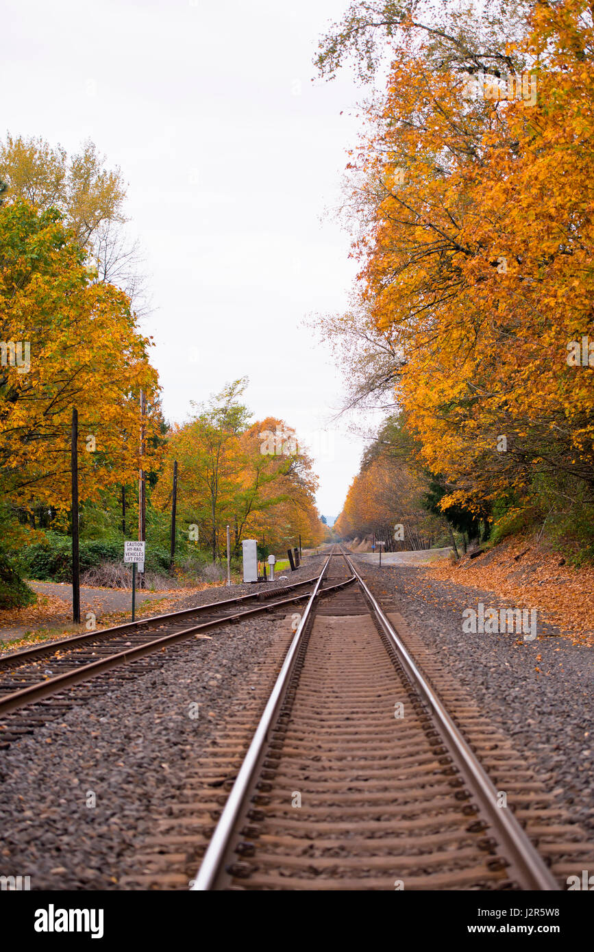 Railroad tracks converging into one of the two metal rails, wooden ...