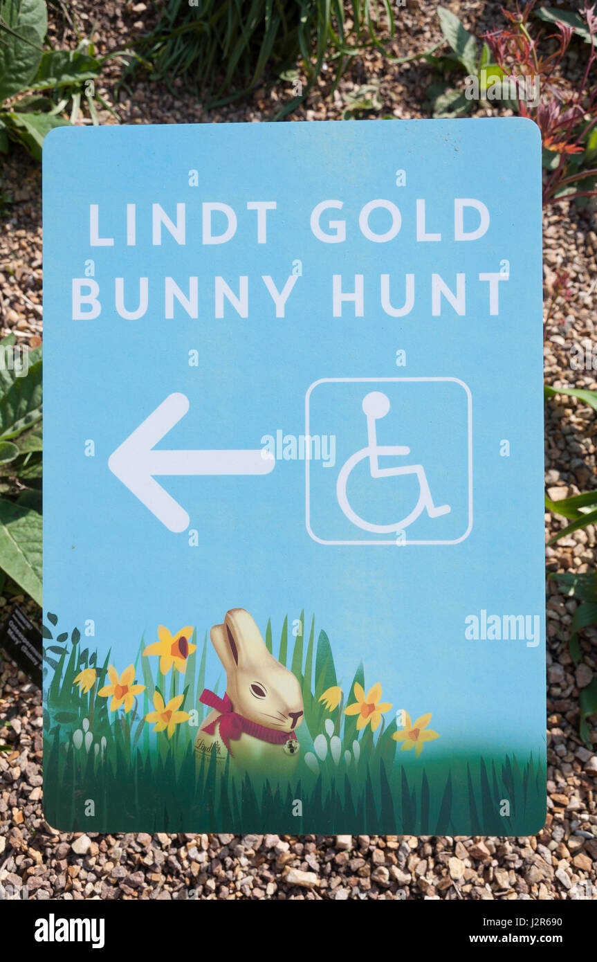 Bunny kingdom hi-res stock photography and images - Alamy