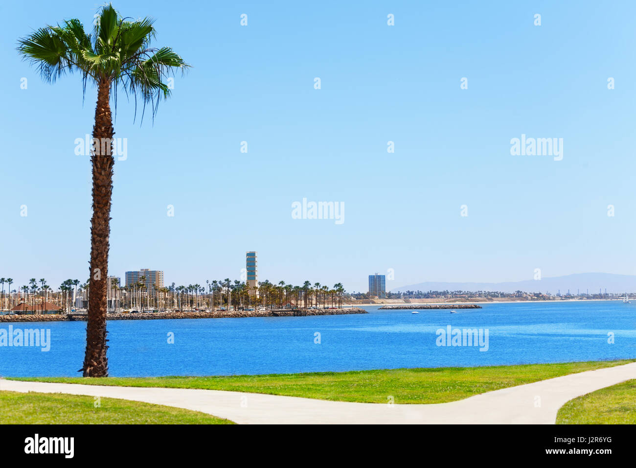 Beautiful city skyline of Long Beach with skyscrapers, palm trees and ...