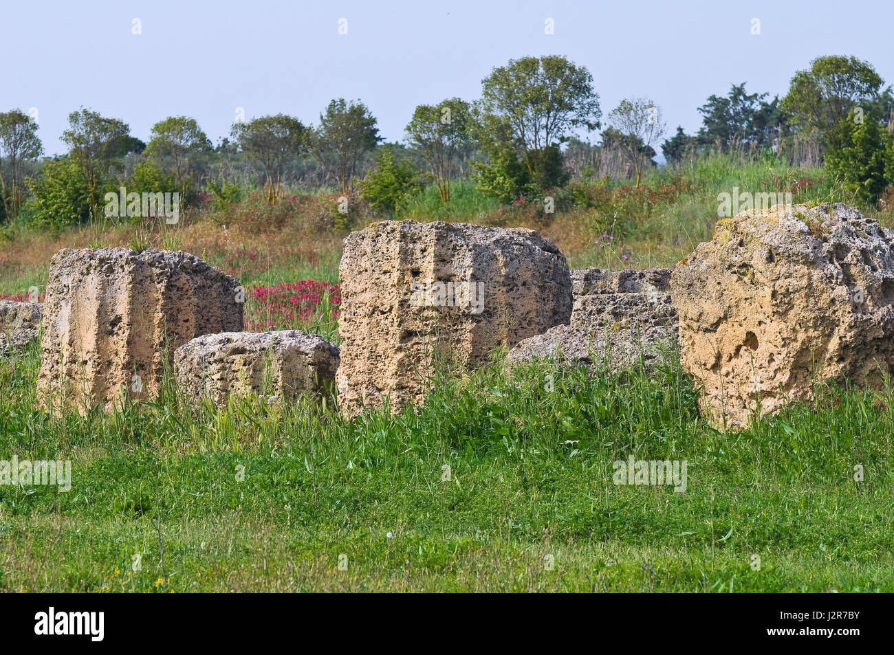 Archaeological Park. Metaponto. Basilicata. Italy Stock Photo - Alamy