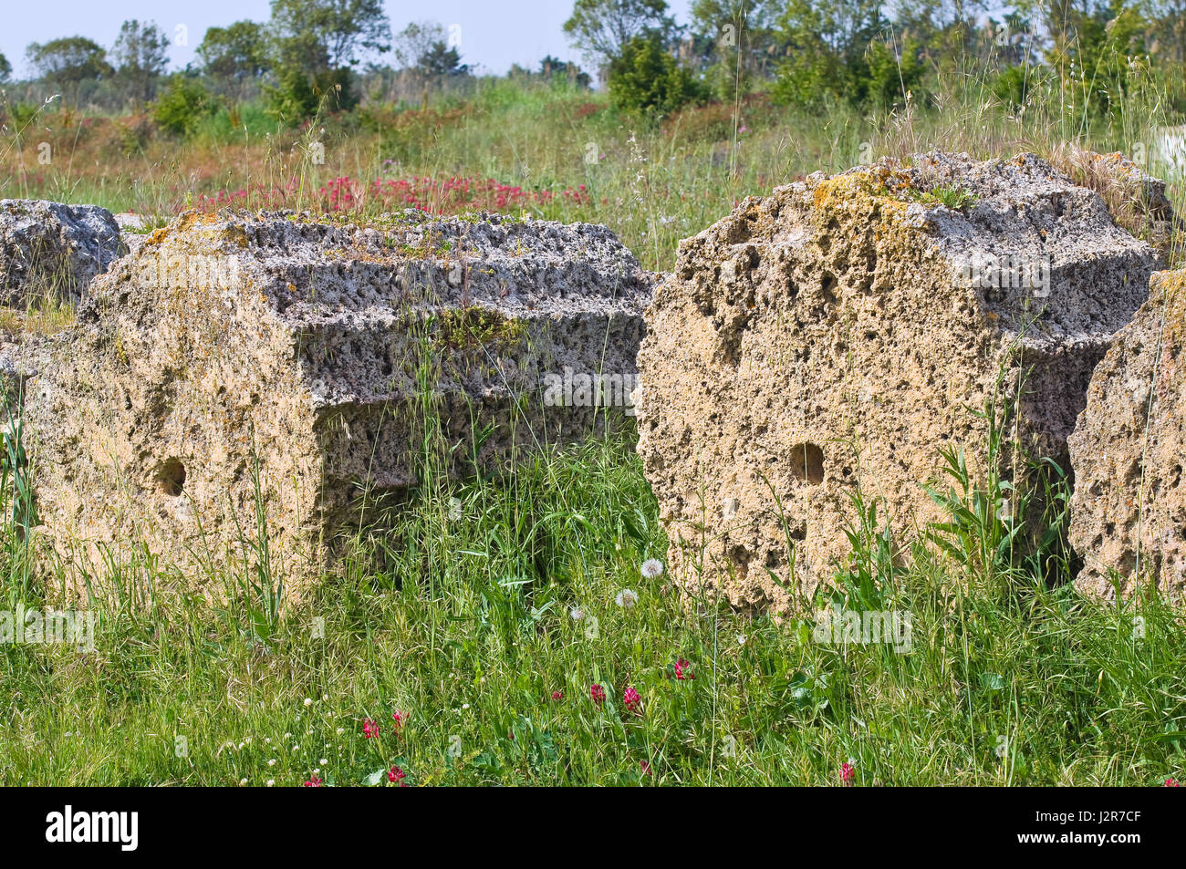 Archaeological Park. Metaponto. Basilicata. Italy Stock Photo - Alamy