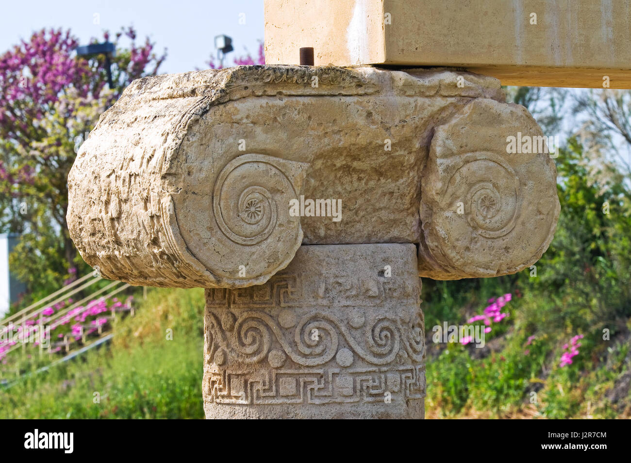 Archaeological Park. Metaponto. Basilicata. Italy Stock Photo - Alamy