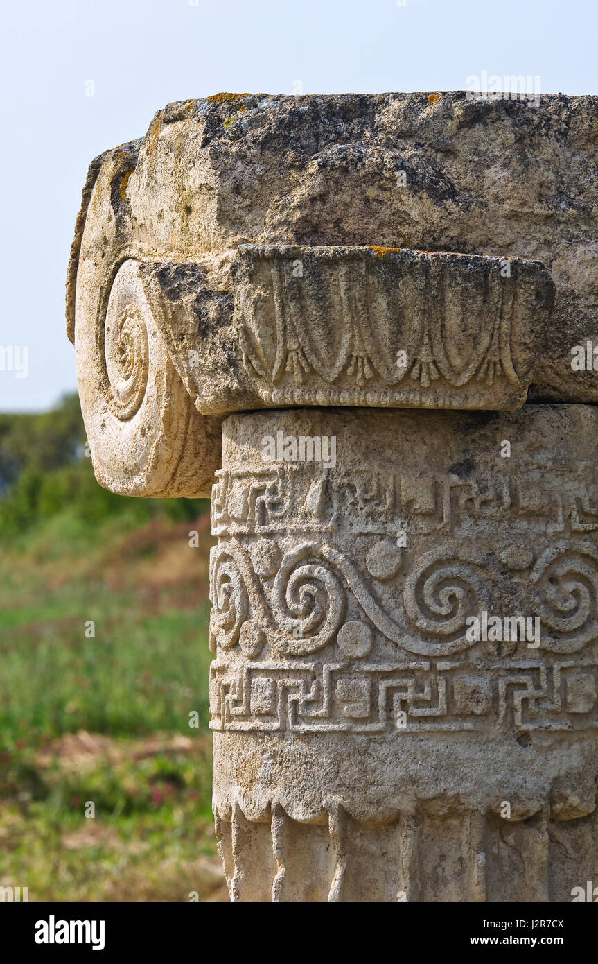 Metaponto archaeological park hi-res stock photography and images - Alamy