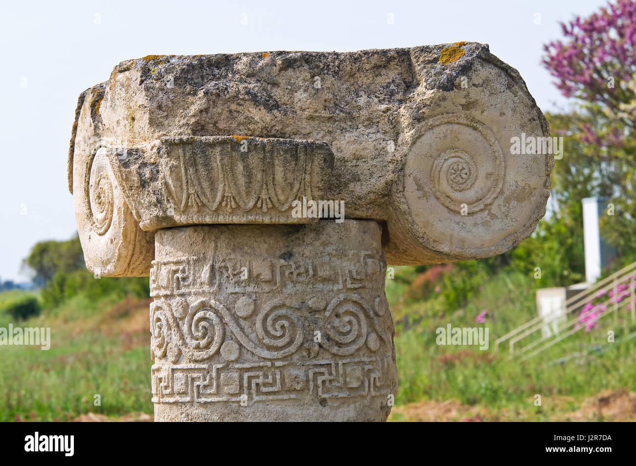 Archaeological Park. Metaponto. Basilicata. Italy Stock Photo - Alamy