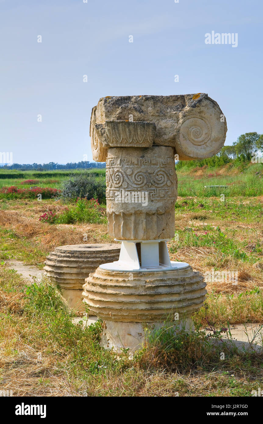 Archaeological Park. Metaponto. Basilicata. Italy Stock Photo - Alamy