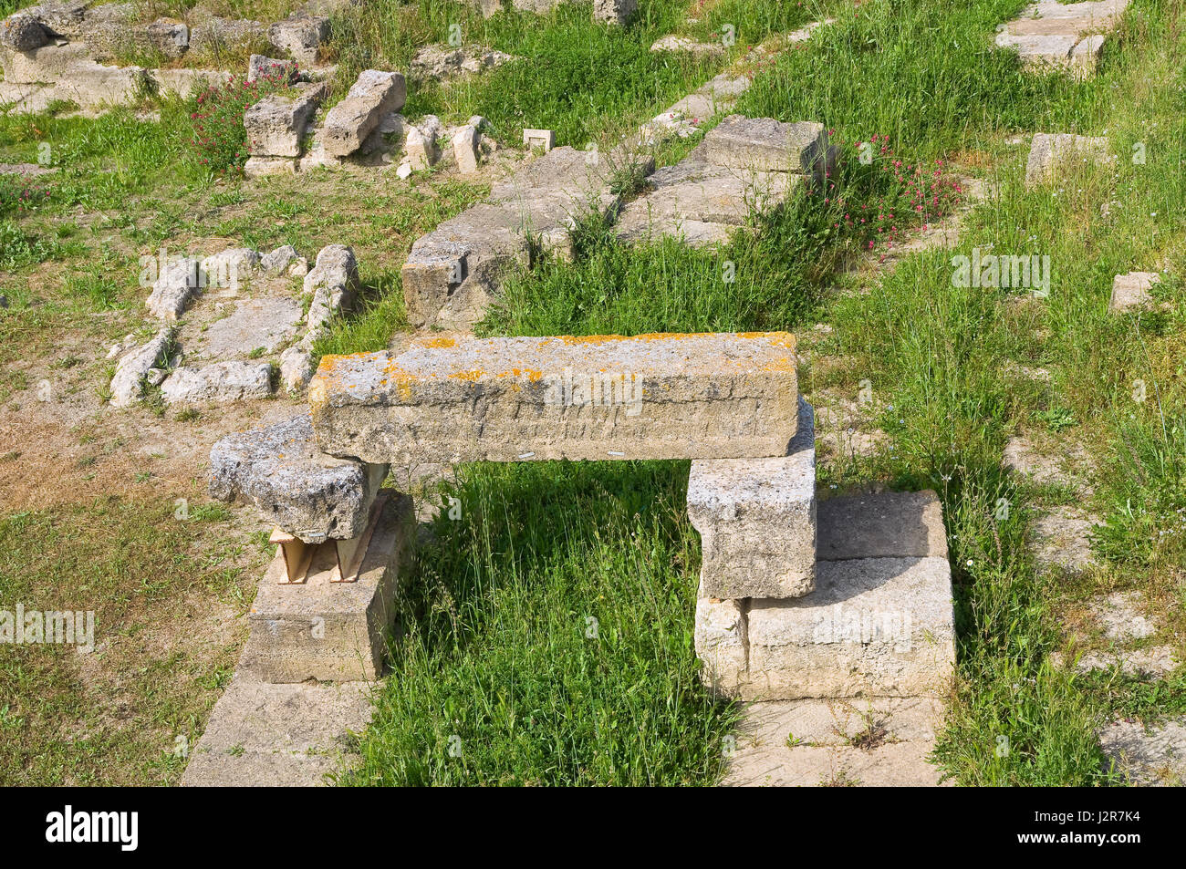 Archaeological Park. Metaponto. Basilicata. Italy Stock Photo - Alamy