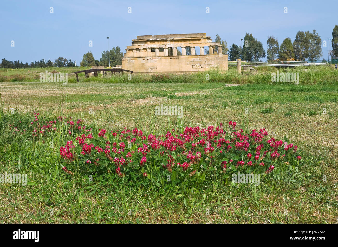 Archaeological Park. Metaponto. Basilicata. Italy Stock Photo - Alamy