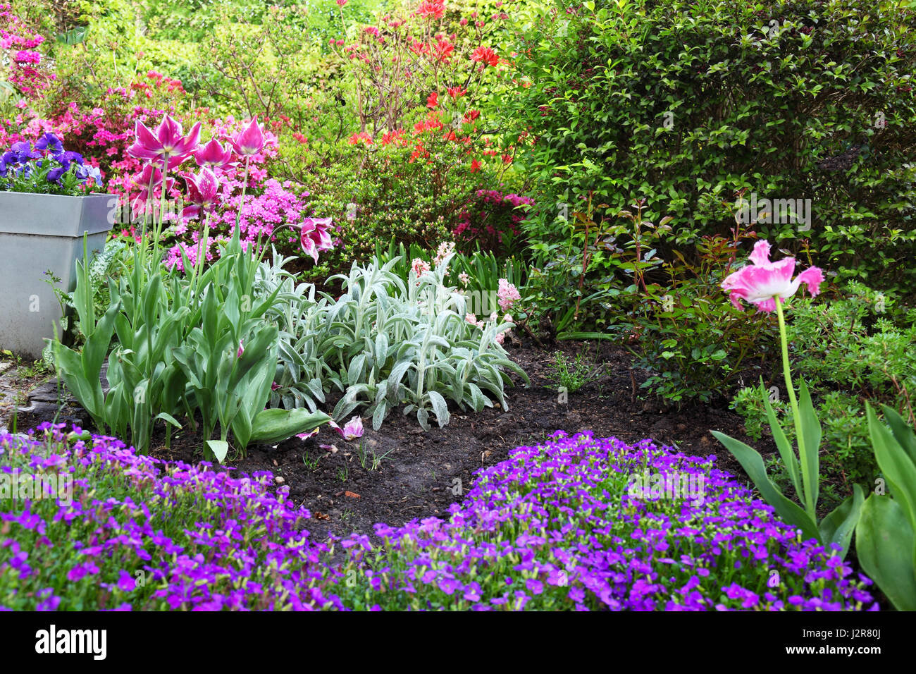 Colourful Flowerbeds in Spring Garden Stock Photo - Alamy