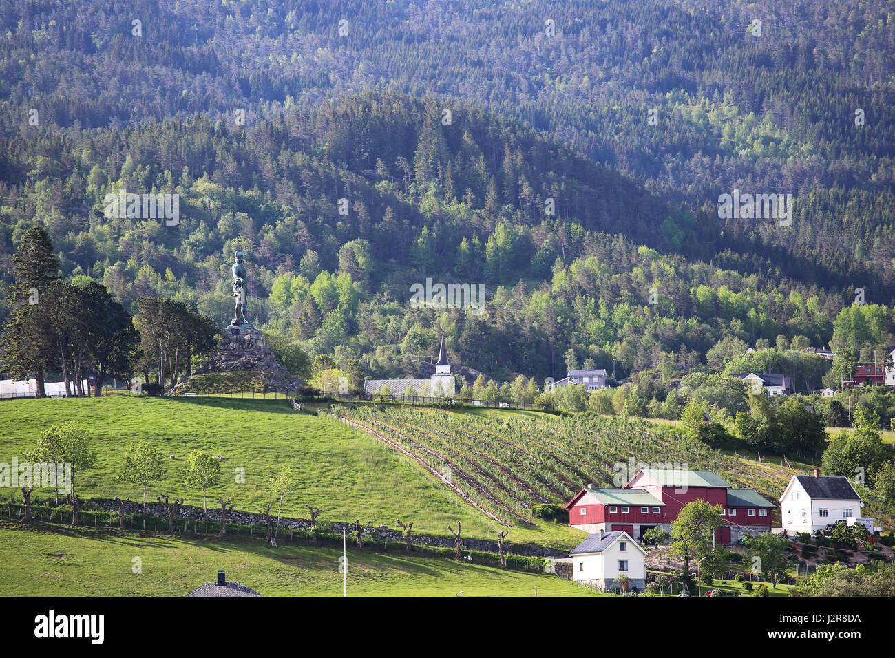 Summer view on landscaped fields and houses of village Vangsnes, Norway ...