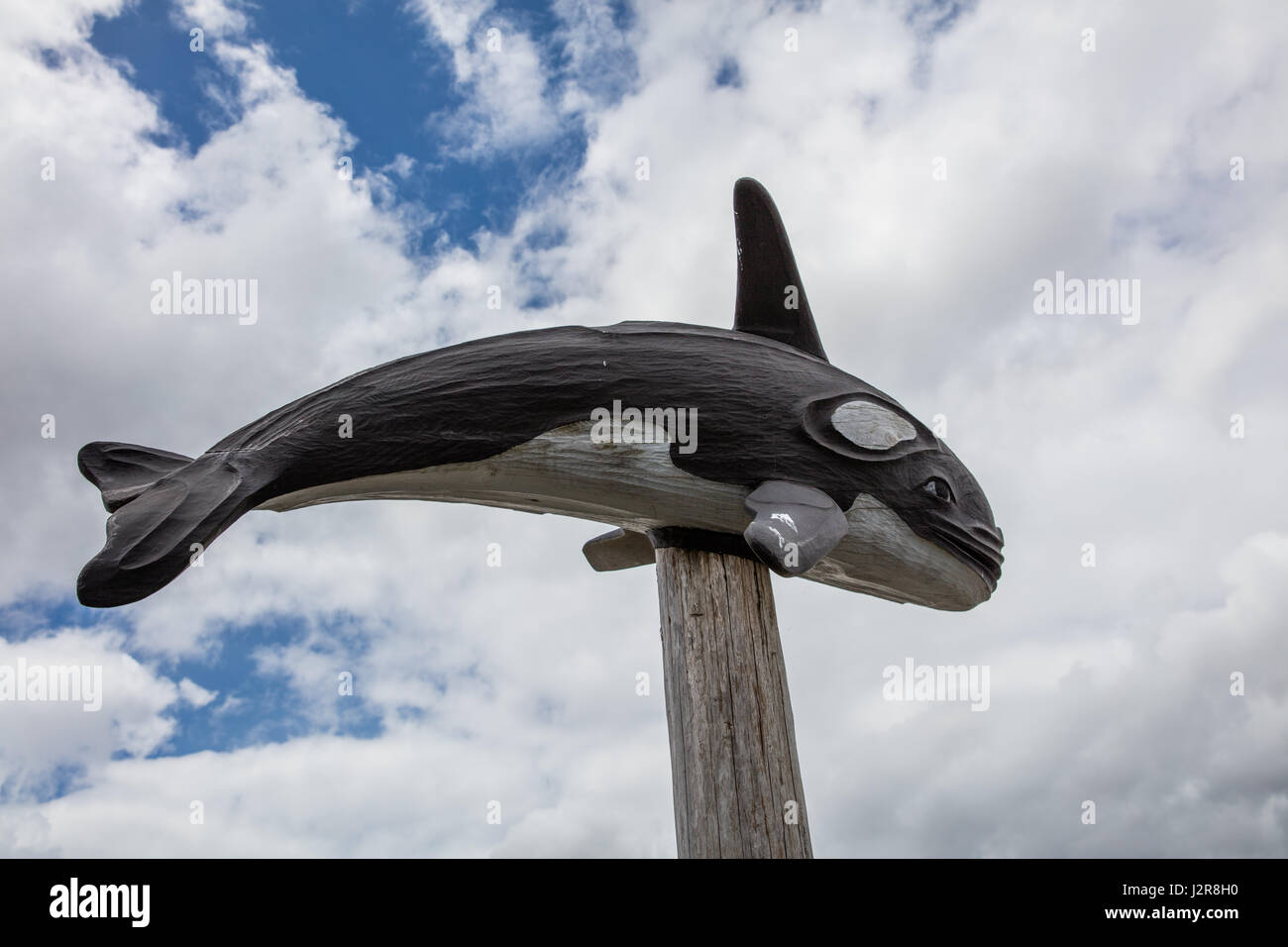 Orca statue in Olympia, Washington Stock Photo - Alamy