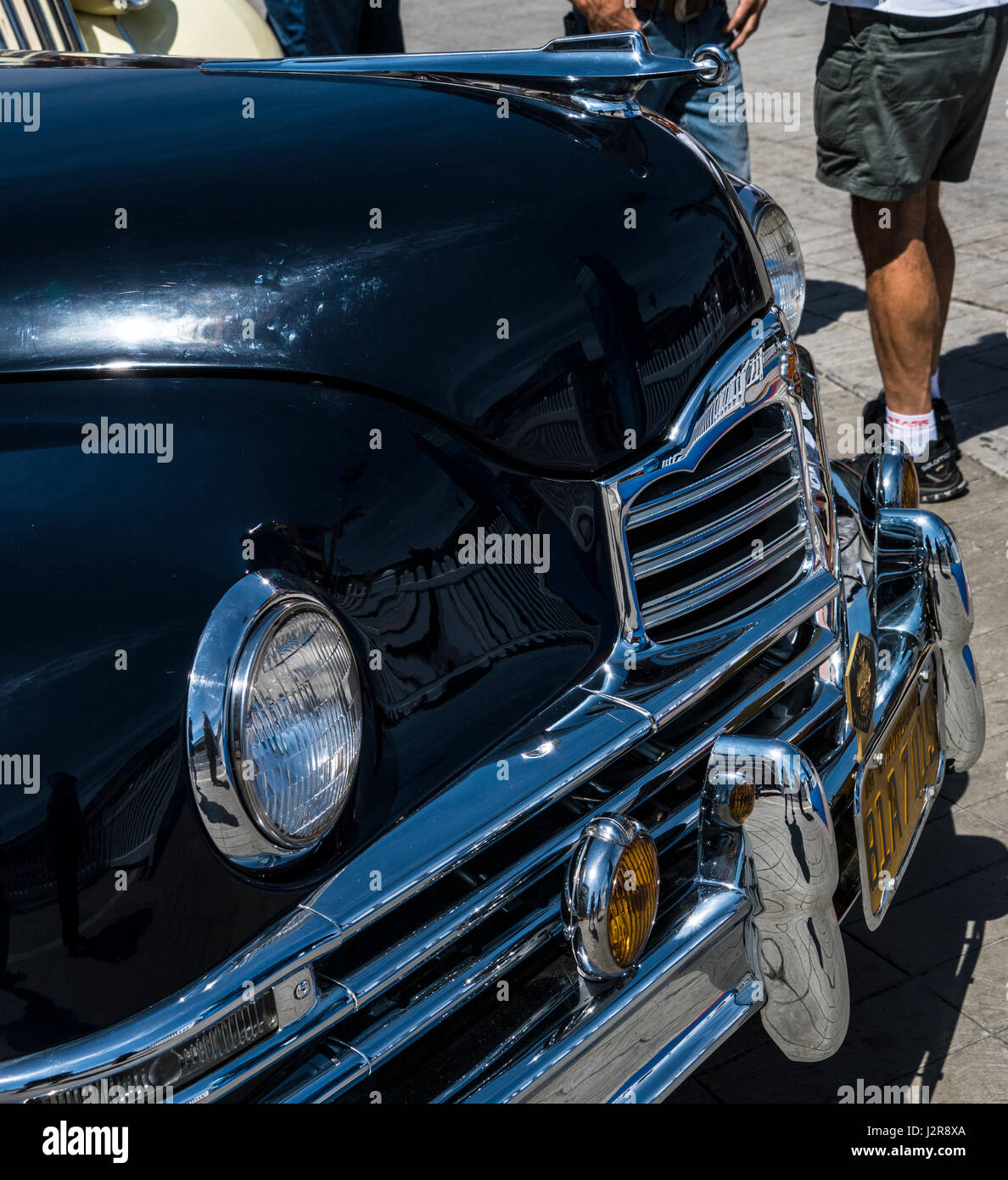 Black 1950 Packard grill and hood ornament at Concourse d"Elegance car ...