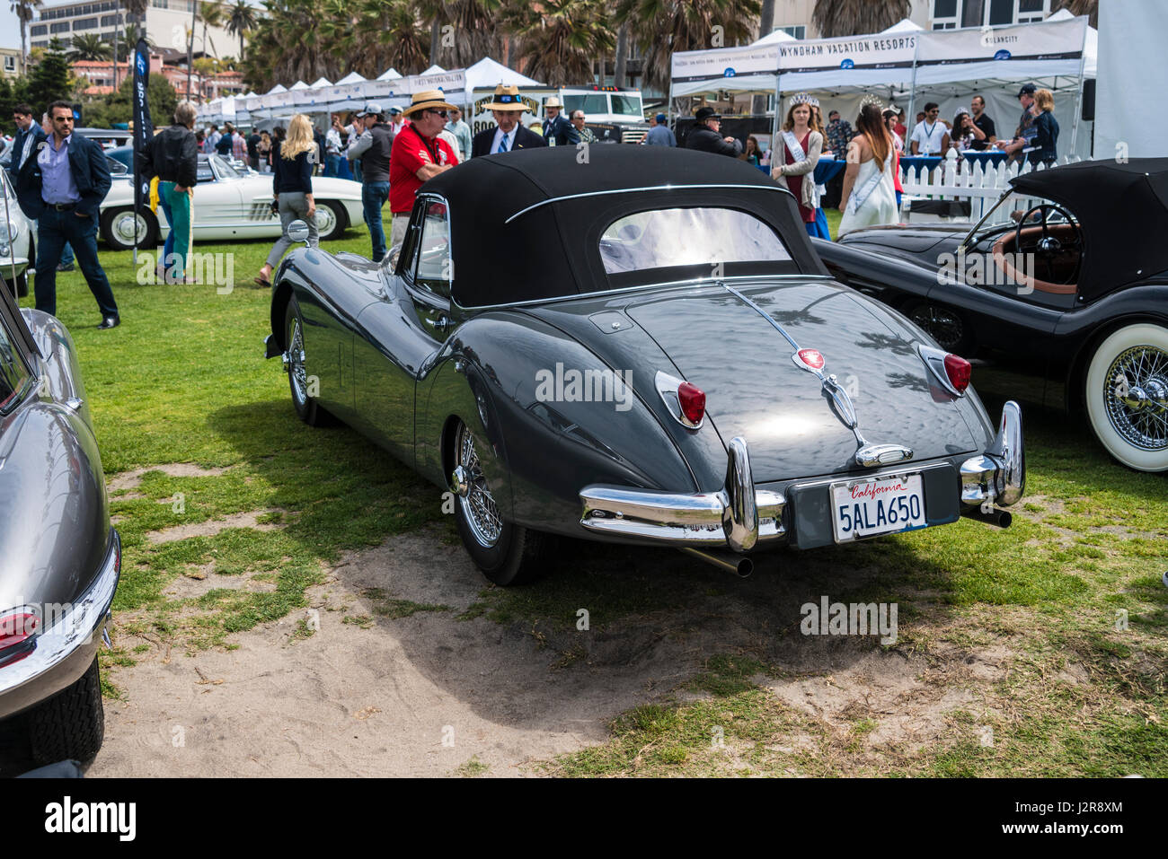 Antique Jaguar at La Jolla Concourse d'Elegance car show Stock Photo ...