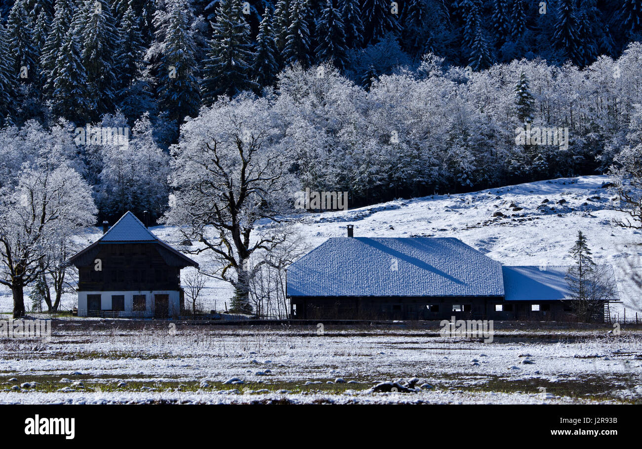 Bernese farmhouse hi-res stock photography and images - Alamy