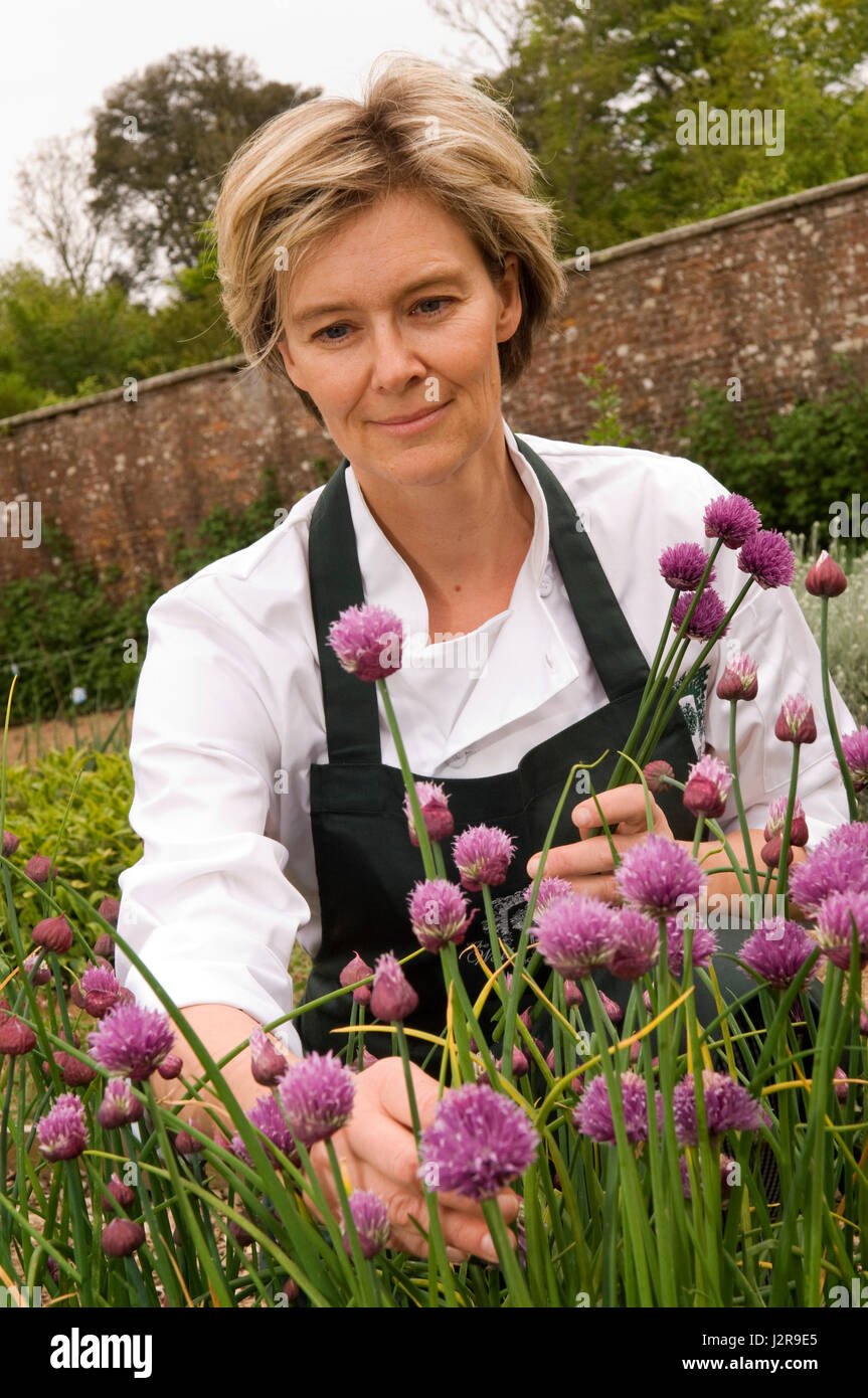Tresillian house garden hi-res stock photography and images - Alamy