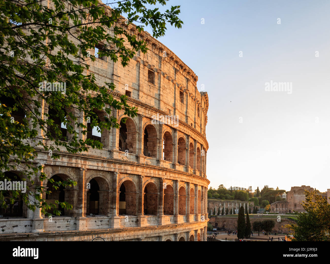 Rome, Italy - Amphitheater Colosseum view at evening Stock Photo - Alamy