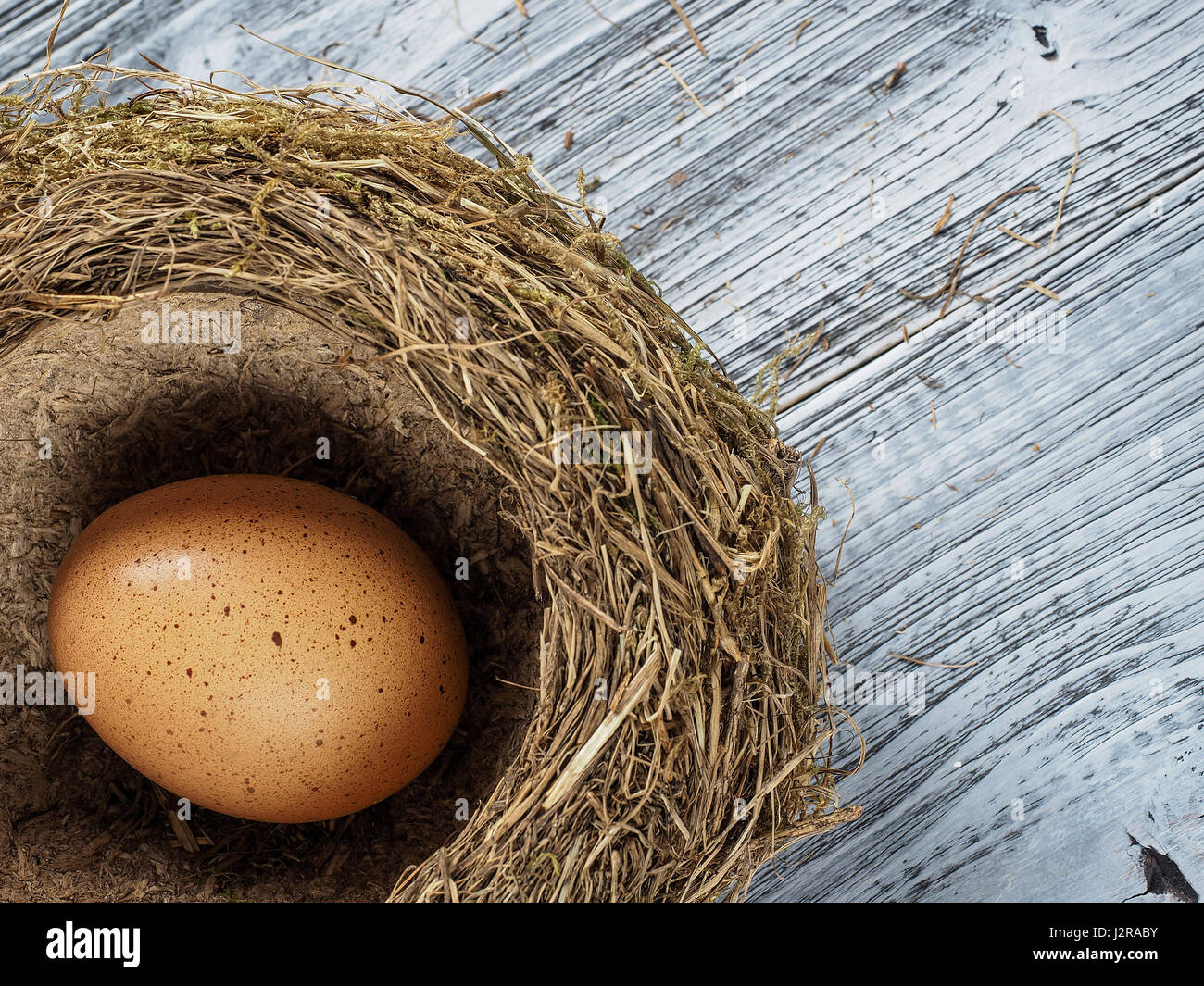 Bird nest and eggs Stock Photo - Alamy
