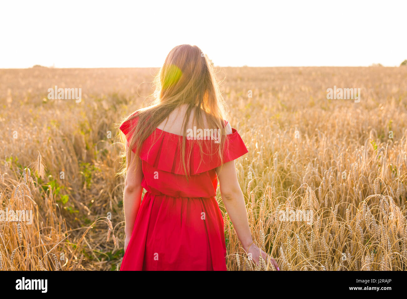 Young Woman wearing red dress at Summer Field, back view Stock Photo ...