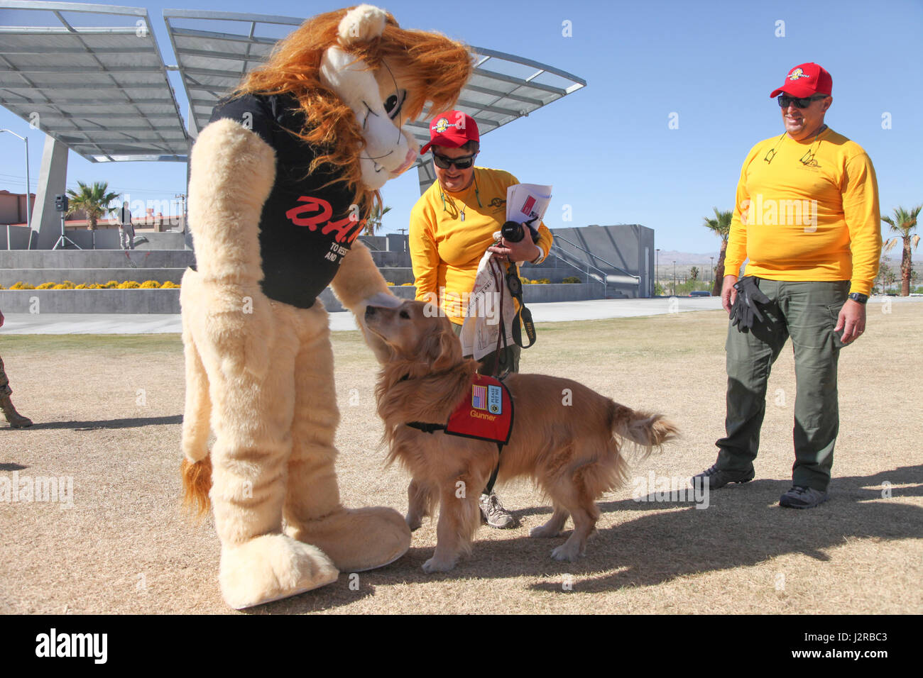 Annual community safety event hi-res stock photography and images - Alamy