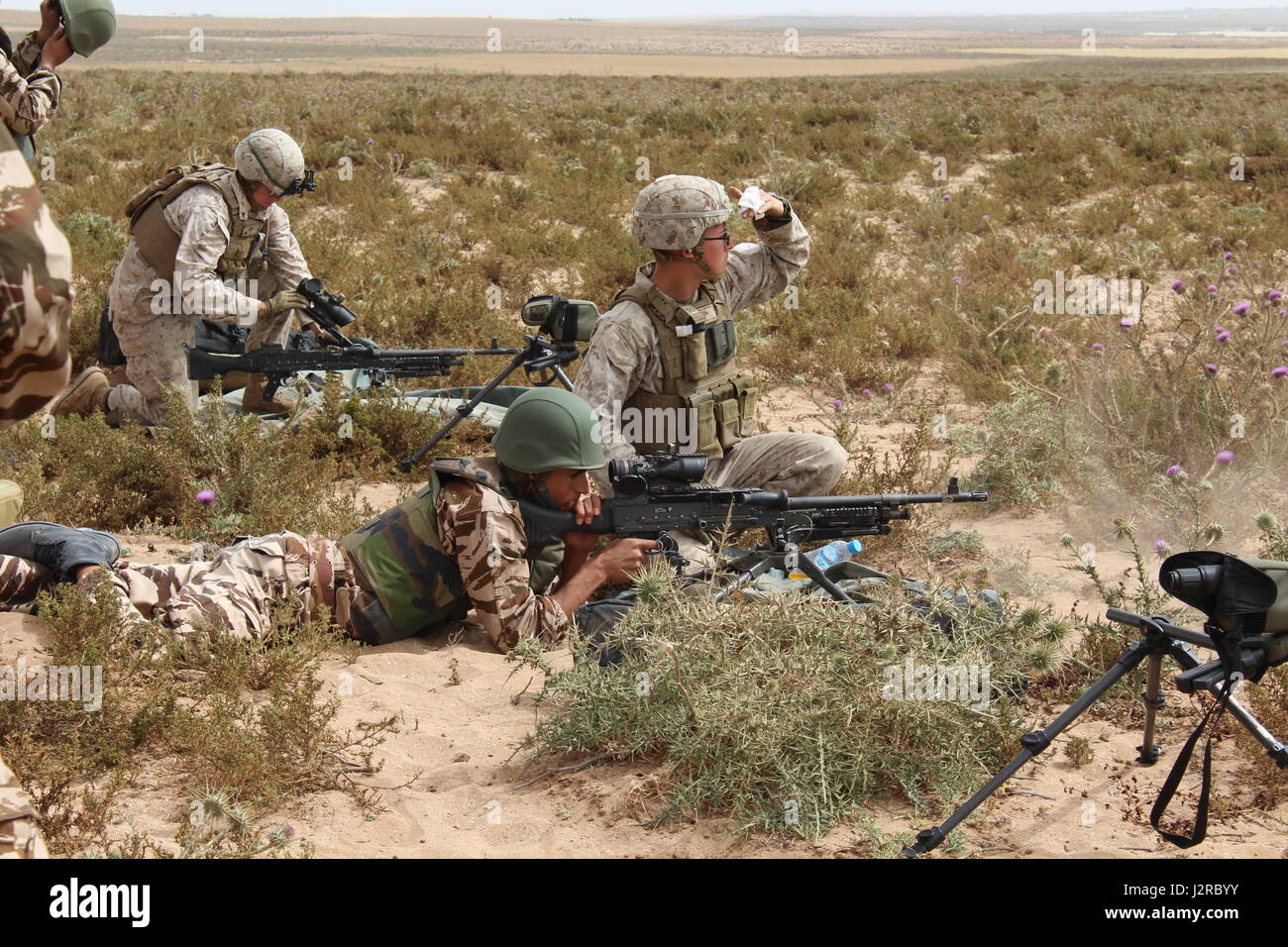 Royal moroccan armed forces hi-res stock photography and images - Alamy
