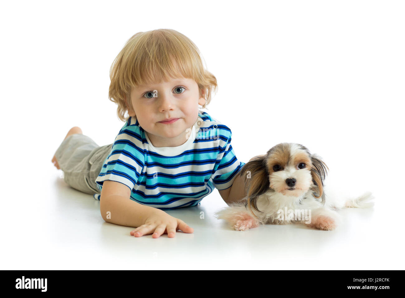 Child boy and puppy dog looking at camera isolated on white background ...