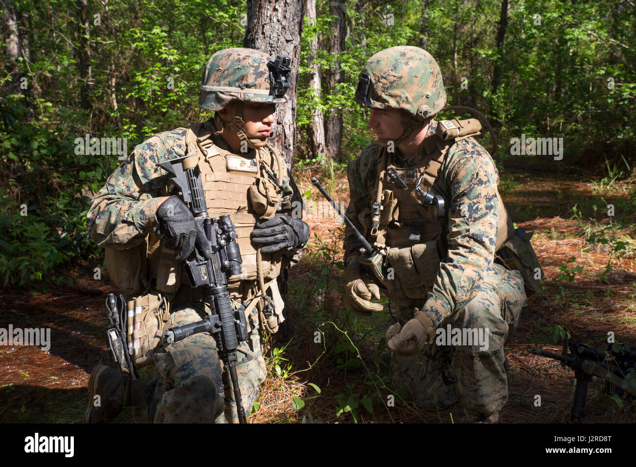 Sapper squad competition hi-res stock photography and images - Alamy