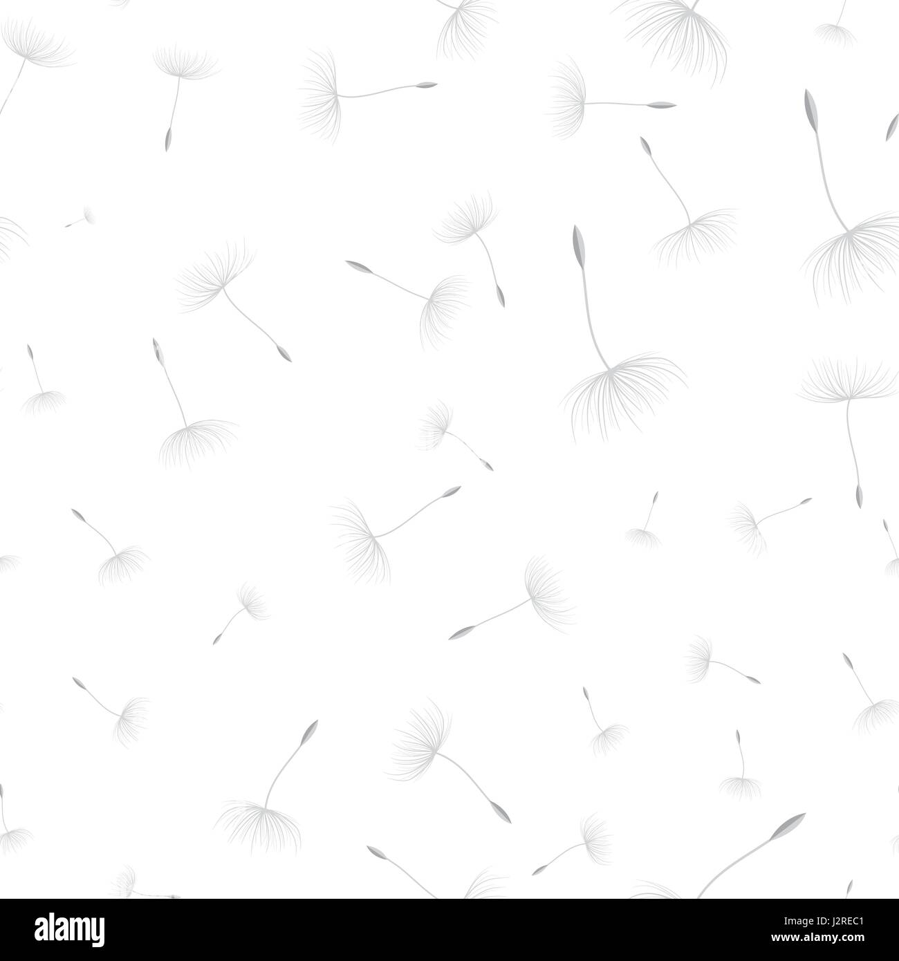 Seamless dandelion pattern. Background of dandelion grey seeds Stock ...