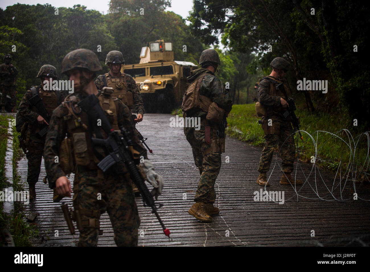 Operational identity hi-res stock photography and images - Alamy