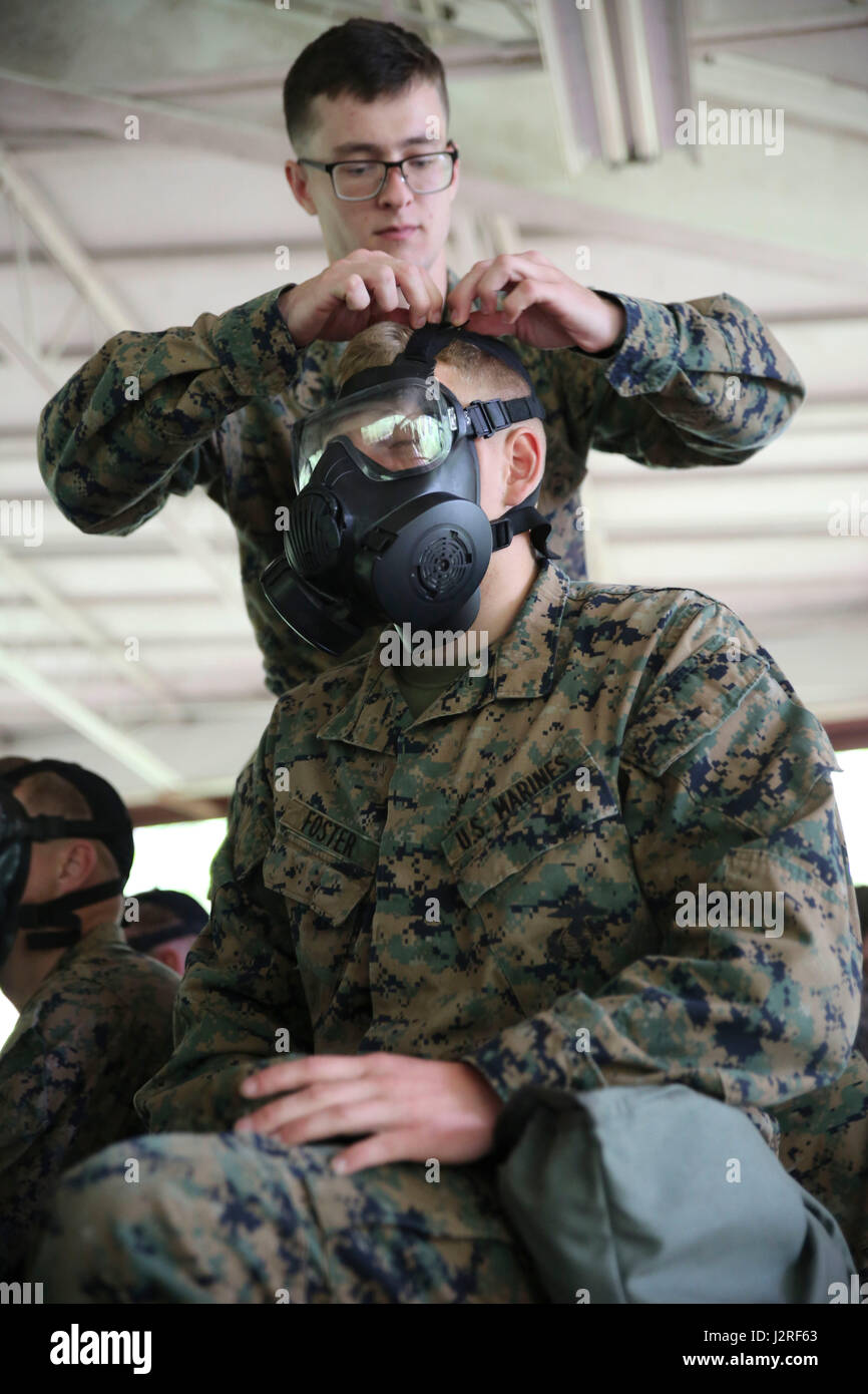 M50 joint service general purpose gas mask hi-res stock photography and ...