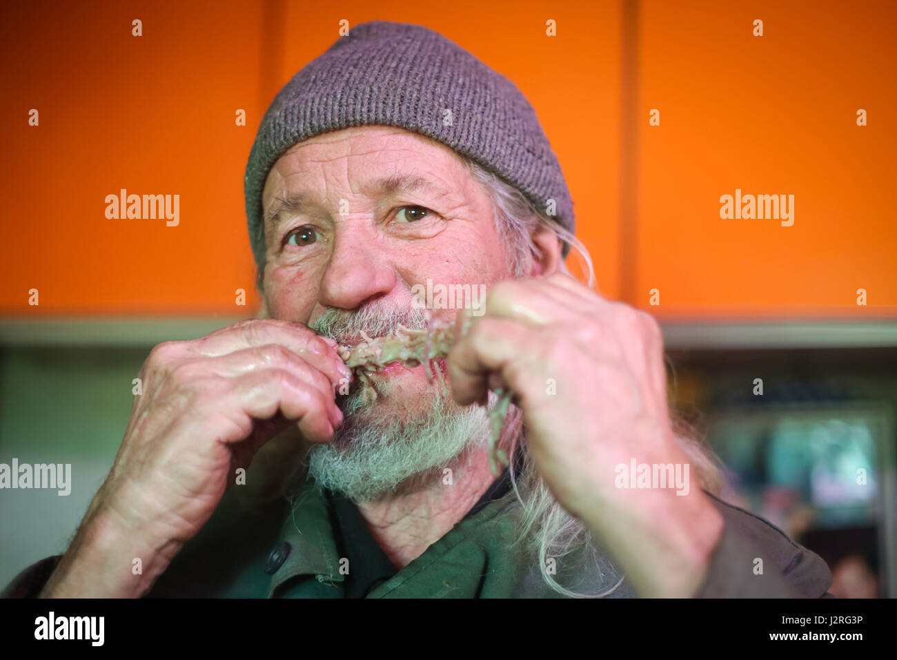 A front view of an old man gnawing on a pork bone and looking at camera ...