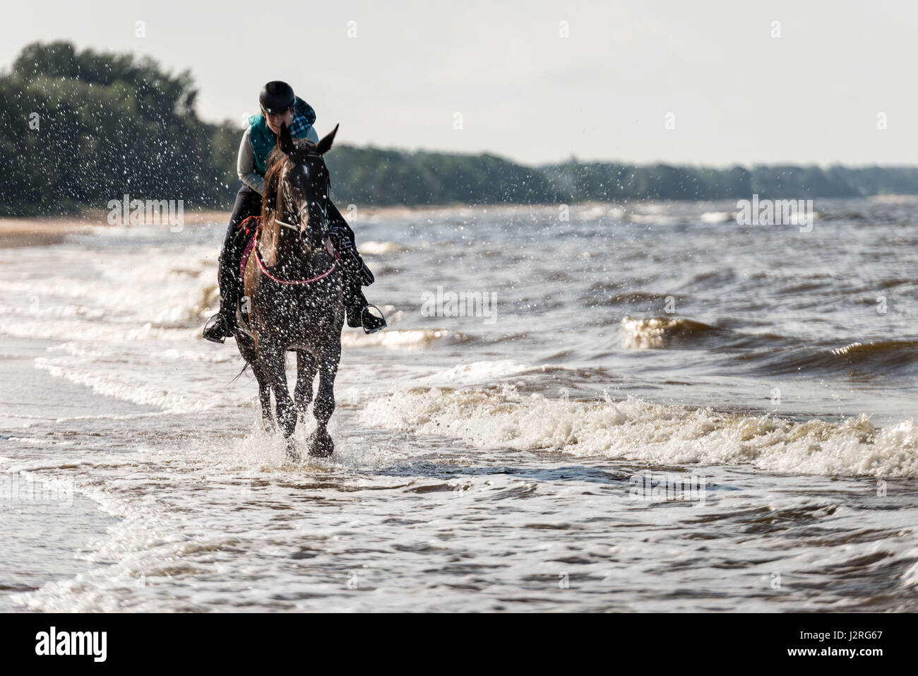 Animals photography. Horseback riding on the beach Stock Photo - Alamy