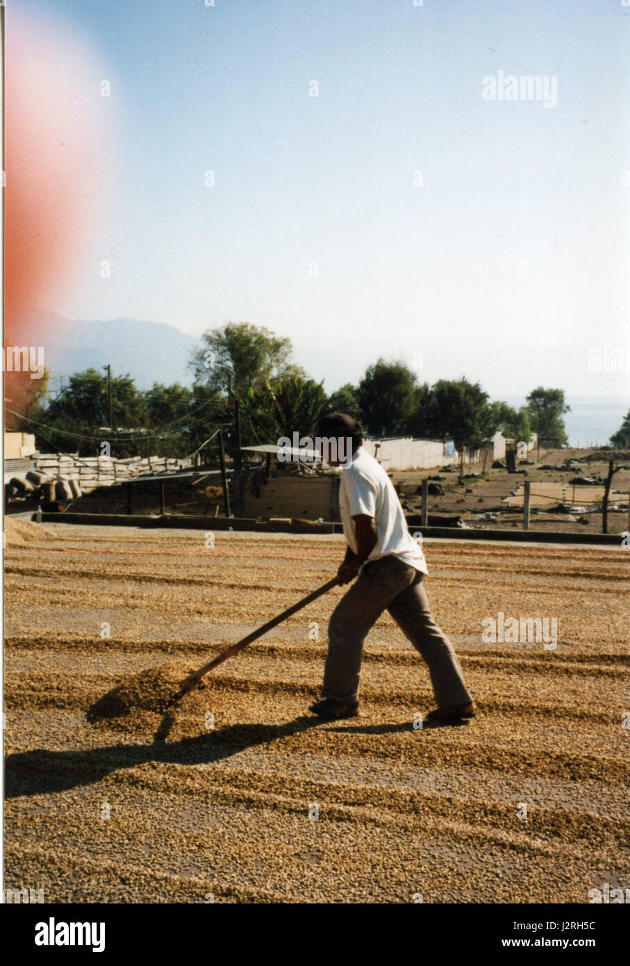 Daily farming tasks hi-res stock photography and images - Alamy