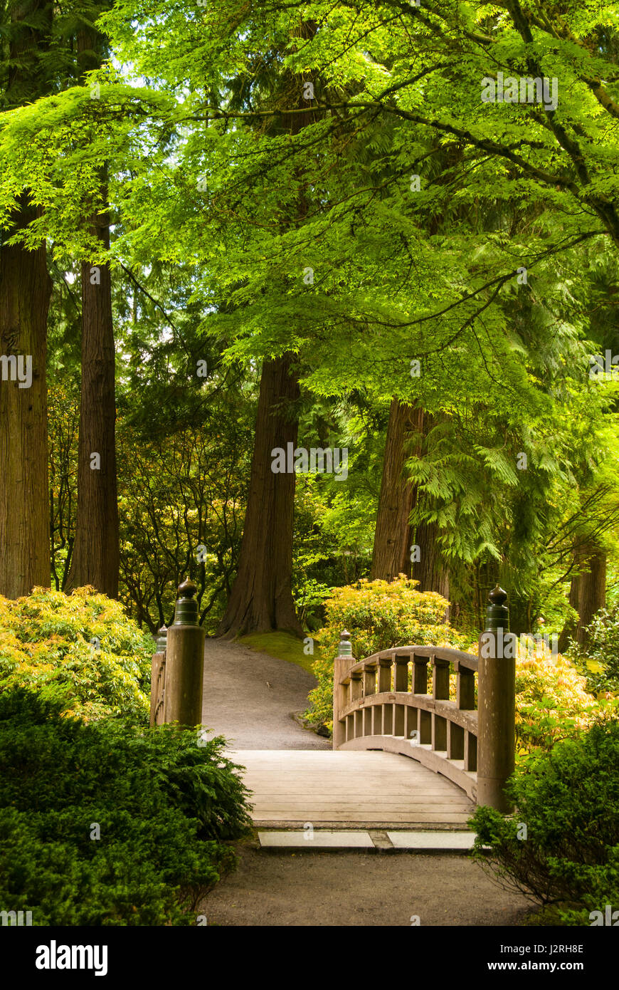 Wooden bridge over a pond in a Japanese garden Stock Photo - Alamy