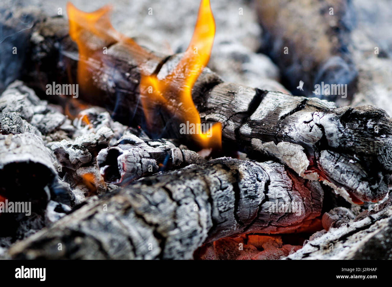 Extreme close up of an outdoor fire burning Stock Photo - Alamy