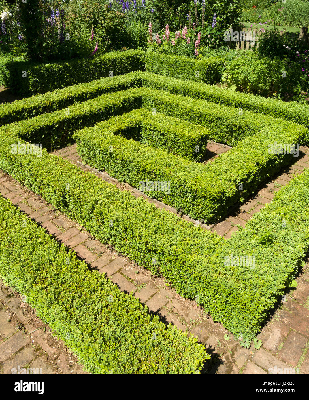 Hedging box hi-res stock photography and images - Alamy